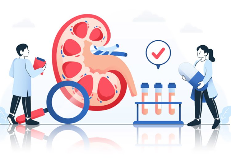 80ses Of End-Stage Kidney Disease Are Caused By Diabetes: Warn Doctors ...